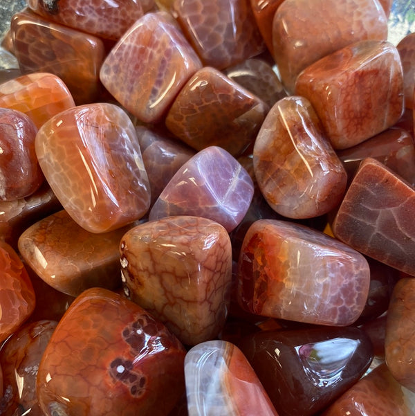 Snakeskin Carnelian Tumbled Gemstone - Cast a Stone