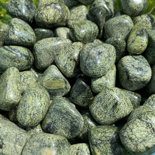 Asterite Tumbled Gemstone - Cast a Stone