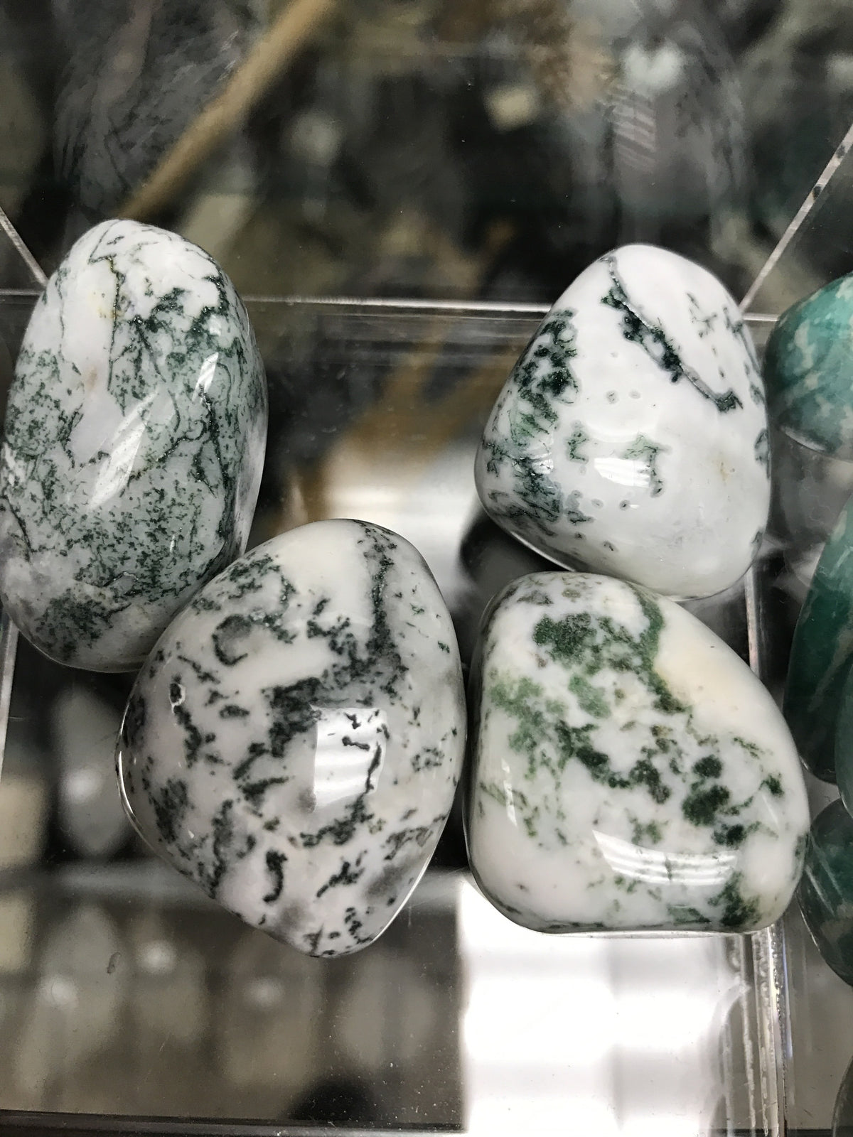 Tree Agate Tumbled Gemstone - Cast a Stone